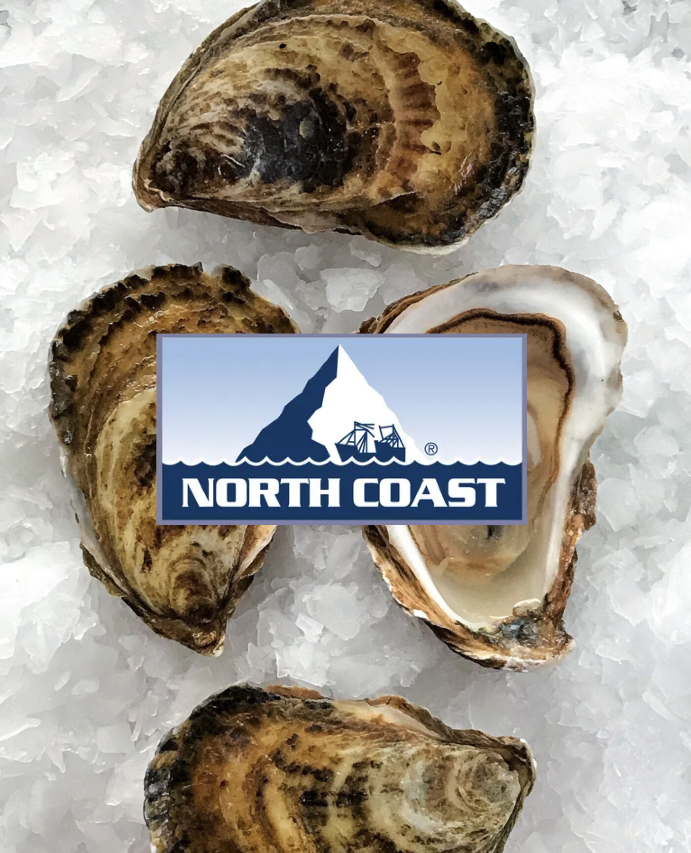 Choco - the one-stop platform for restaurants and suppliers