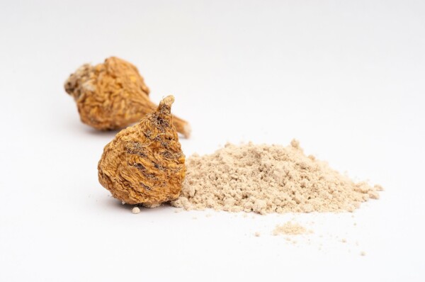 What is Maca?