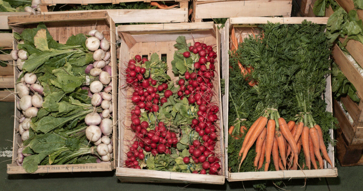 Choco - the one-stop platform for restaurants and suppliers